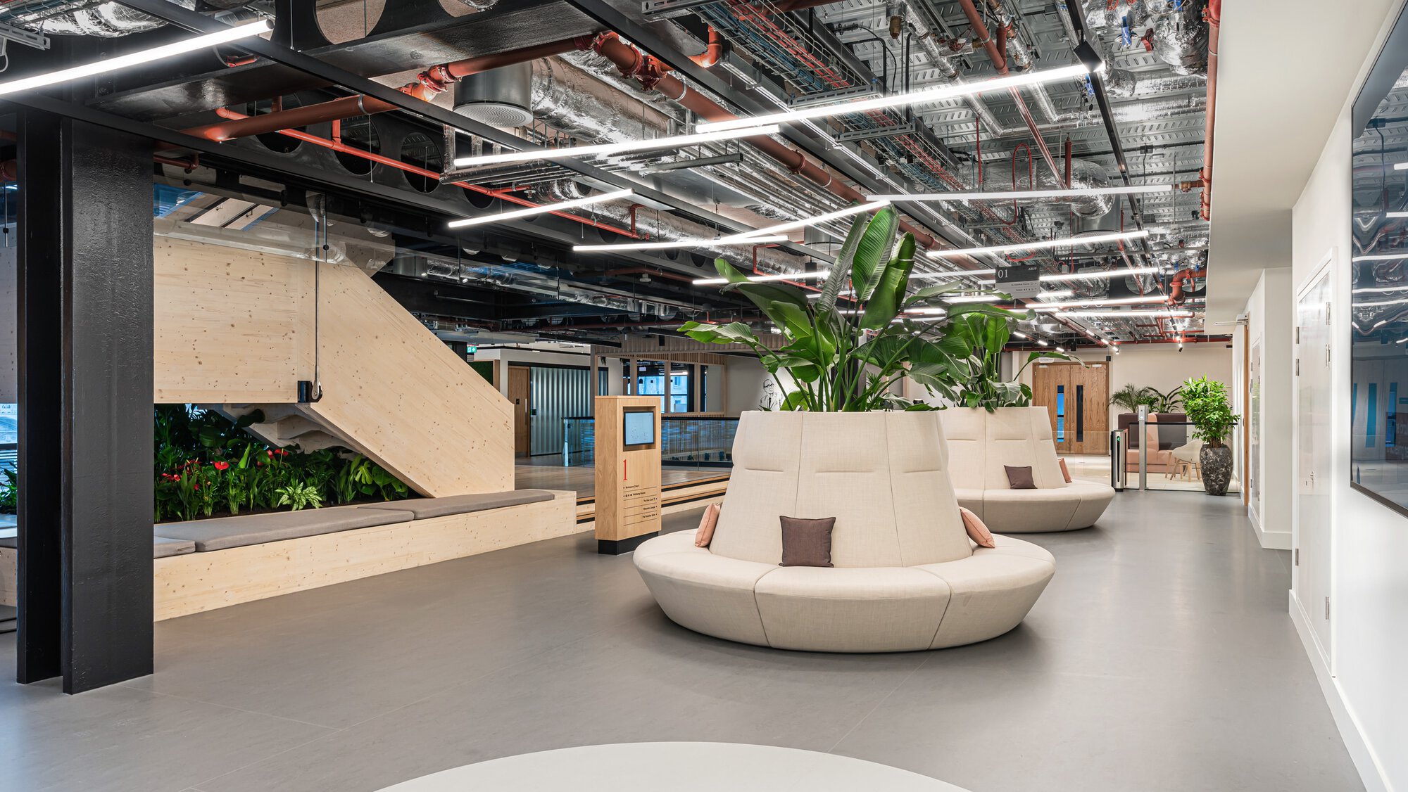 Values in light | XAL