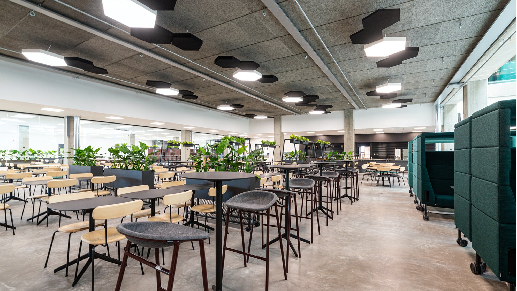 Lighting for the dining hall and cafeteria | XAL