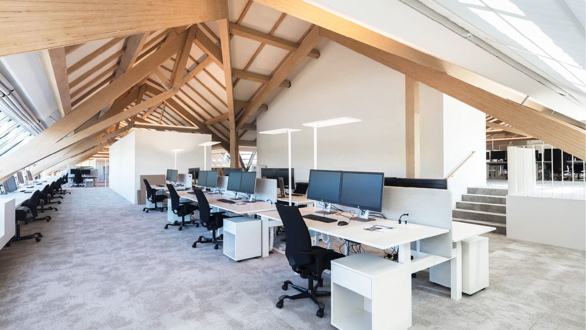 Open office lighting | XAL