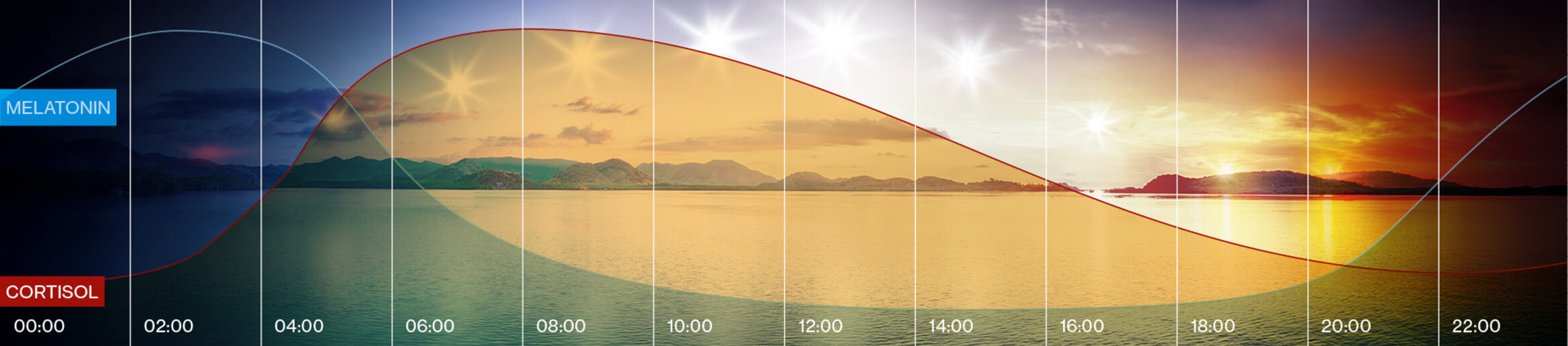 Dynamic light for improved well-being | XAL