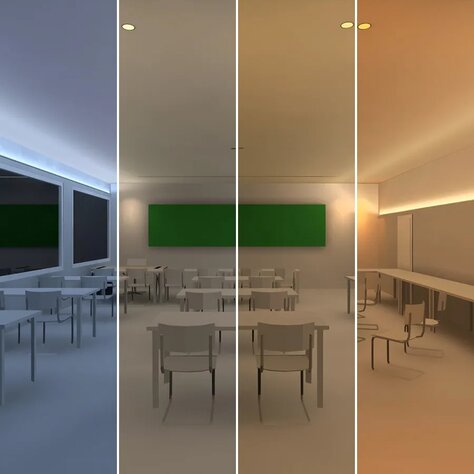 Lighting for educational institutions | XAL