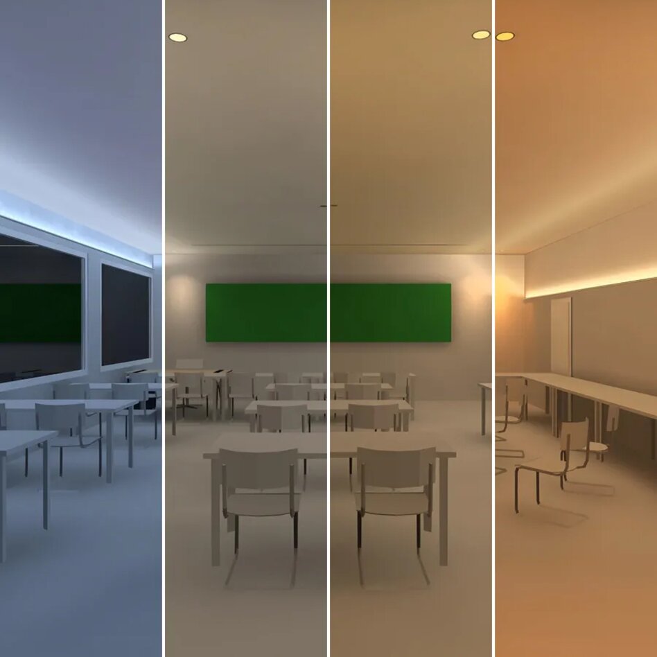 Lighting for educational institutions | XAL