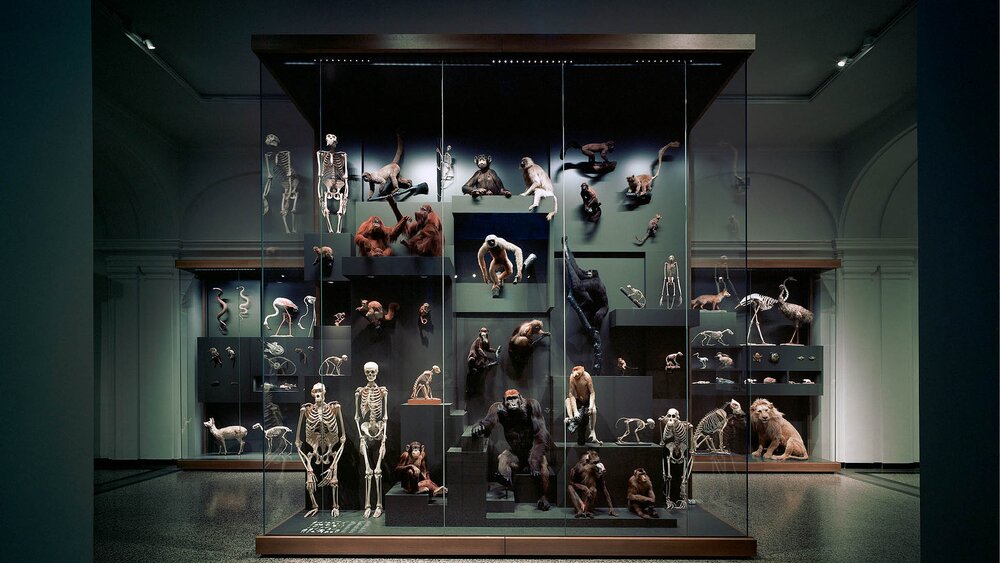 Lighting for museums, galleries, and exhibitions | XAL