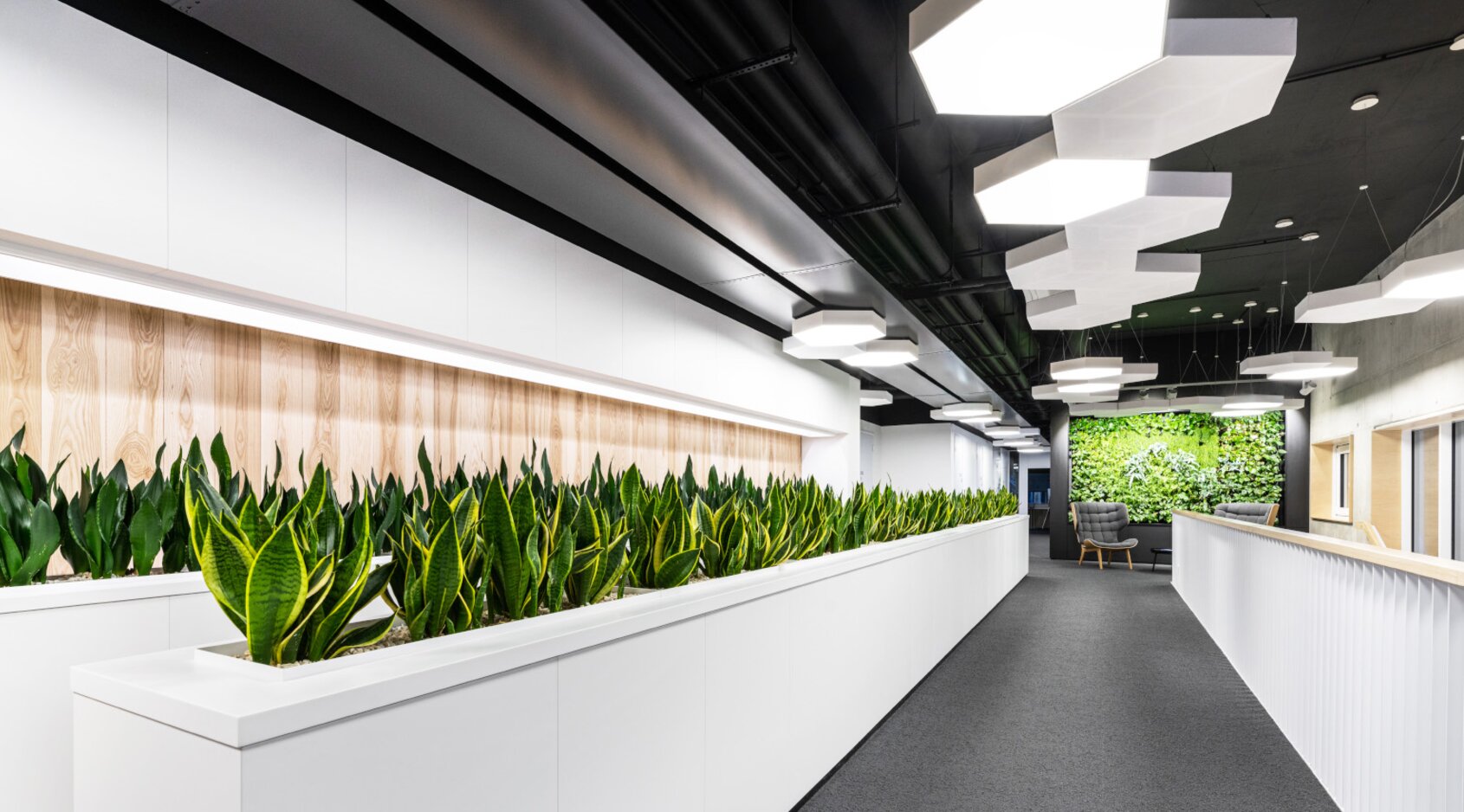 Discover our product highlights | XAL product families | XAL