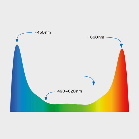 Plant Lighting • Know how | XAL