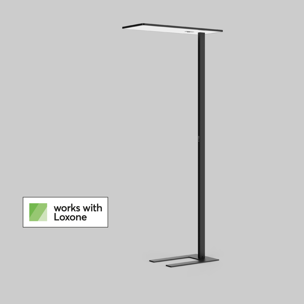 TASK, ultra-slim office lighting series - Luminaire | XAL