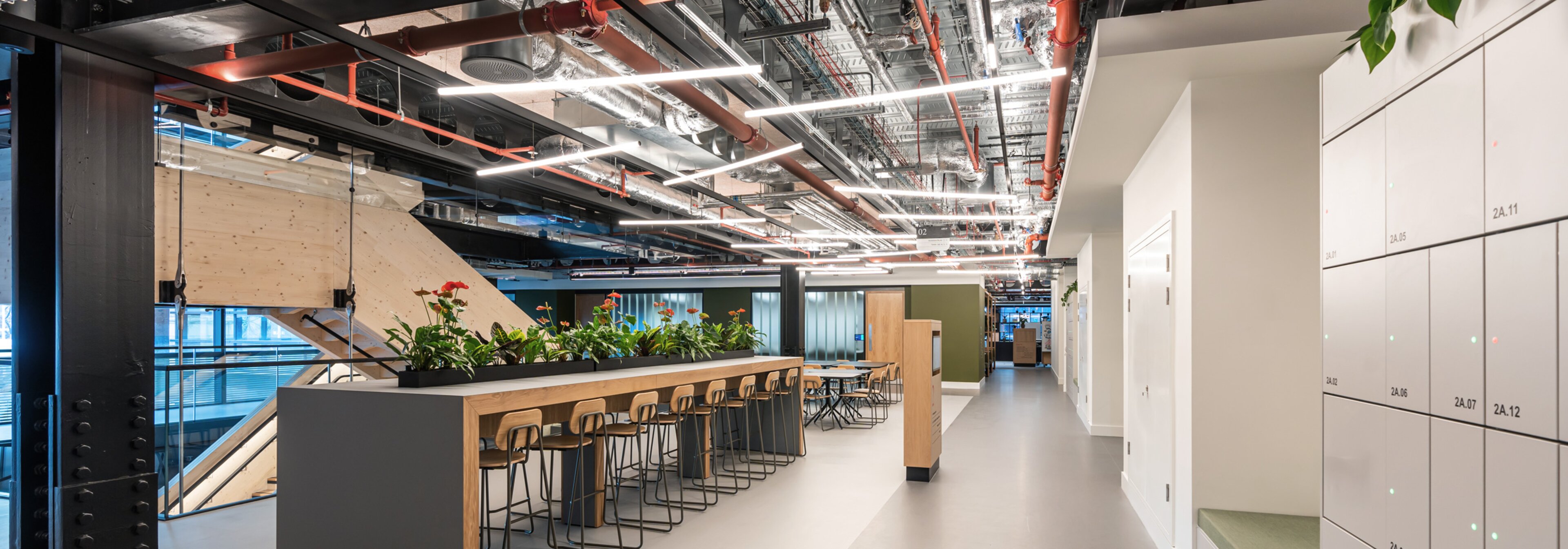 Values in light | XAL